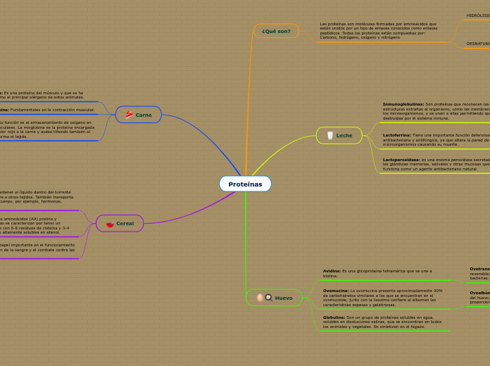 Proteínas - Mind Map